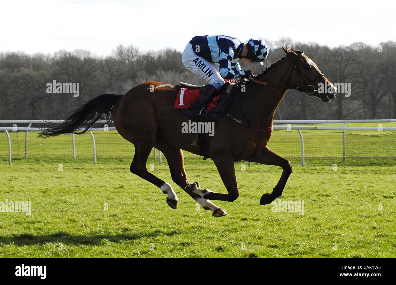 Cryptic richard johnson ease victory in connaught plc hi-res stock ...
