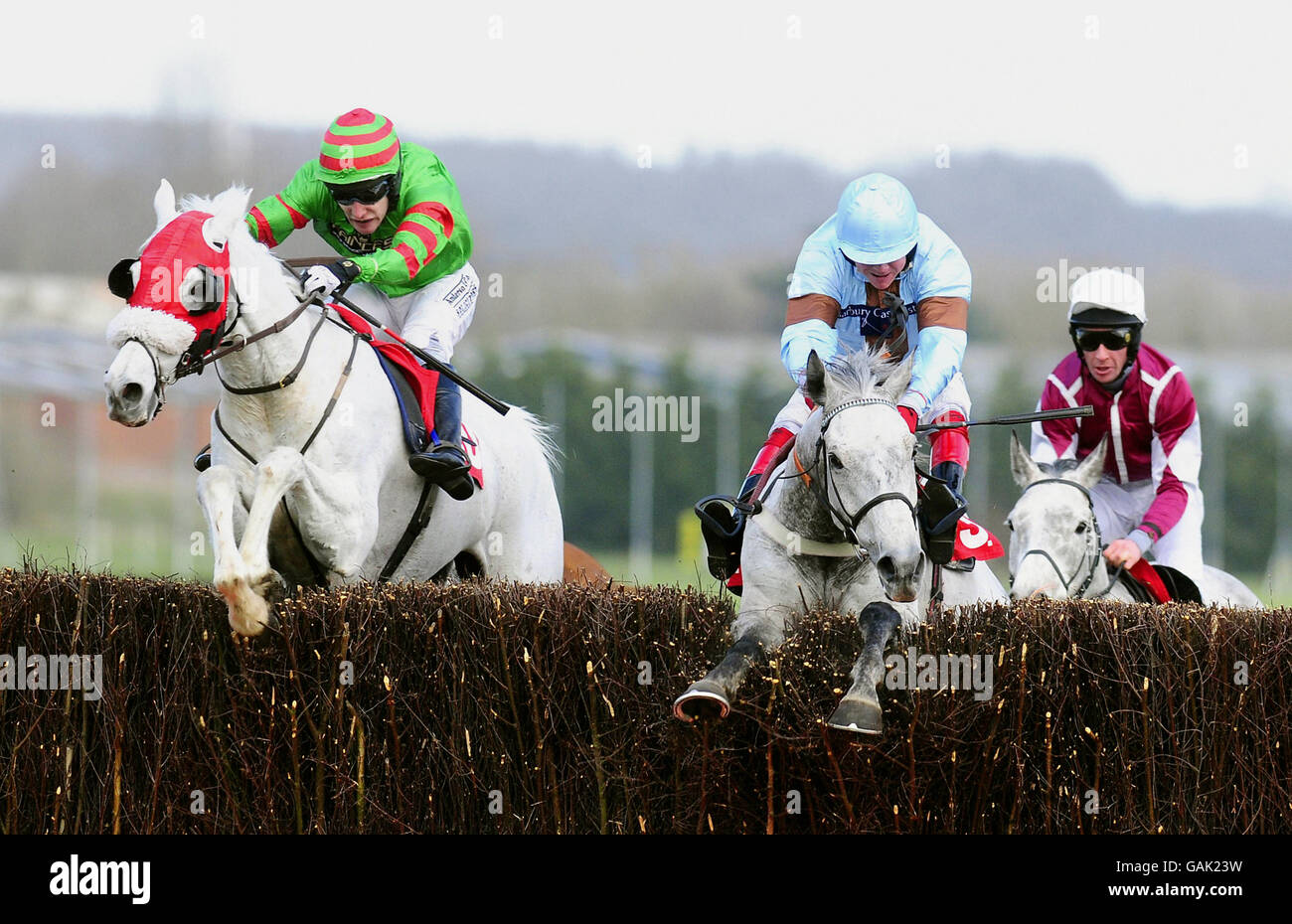 Horse Racing - Connaught Gold Cup Day - Newbury Racecourse Stock Photo ...