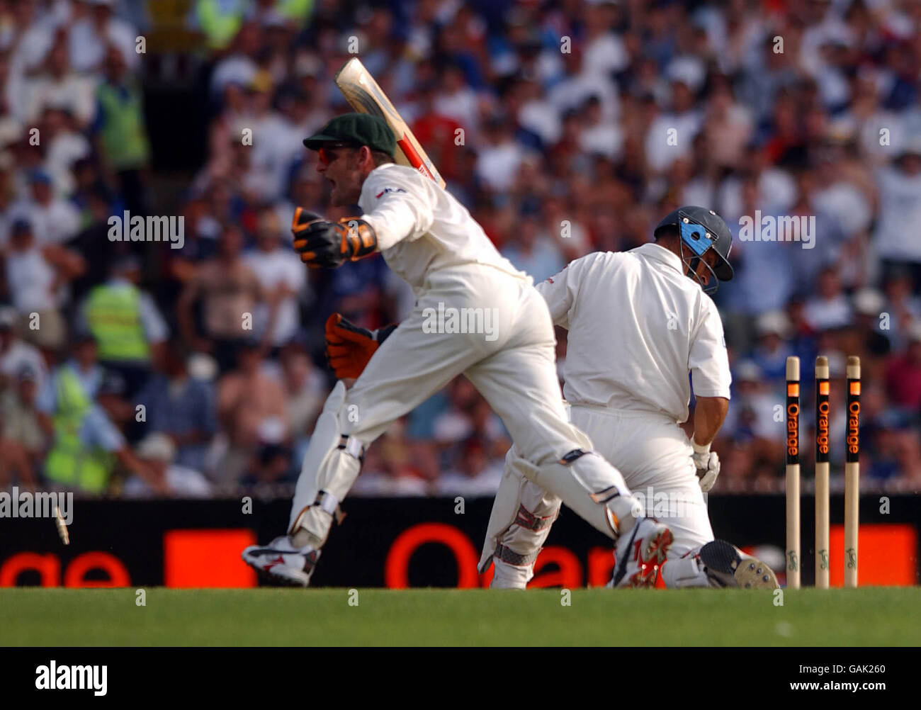 Cricket trying to catch hi-res stock photography and images - Alamy
