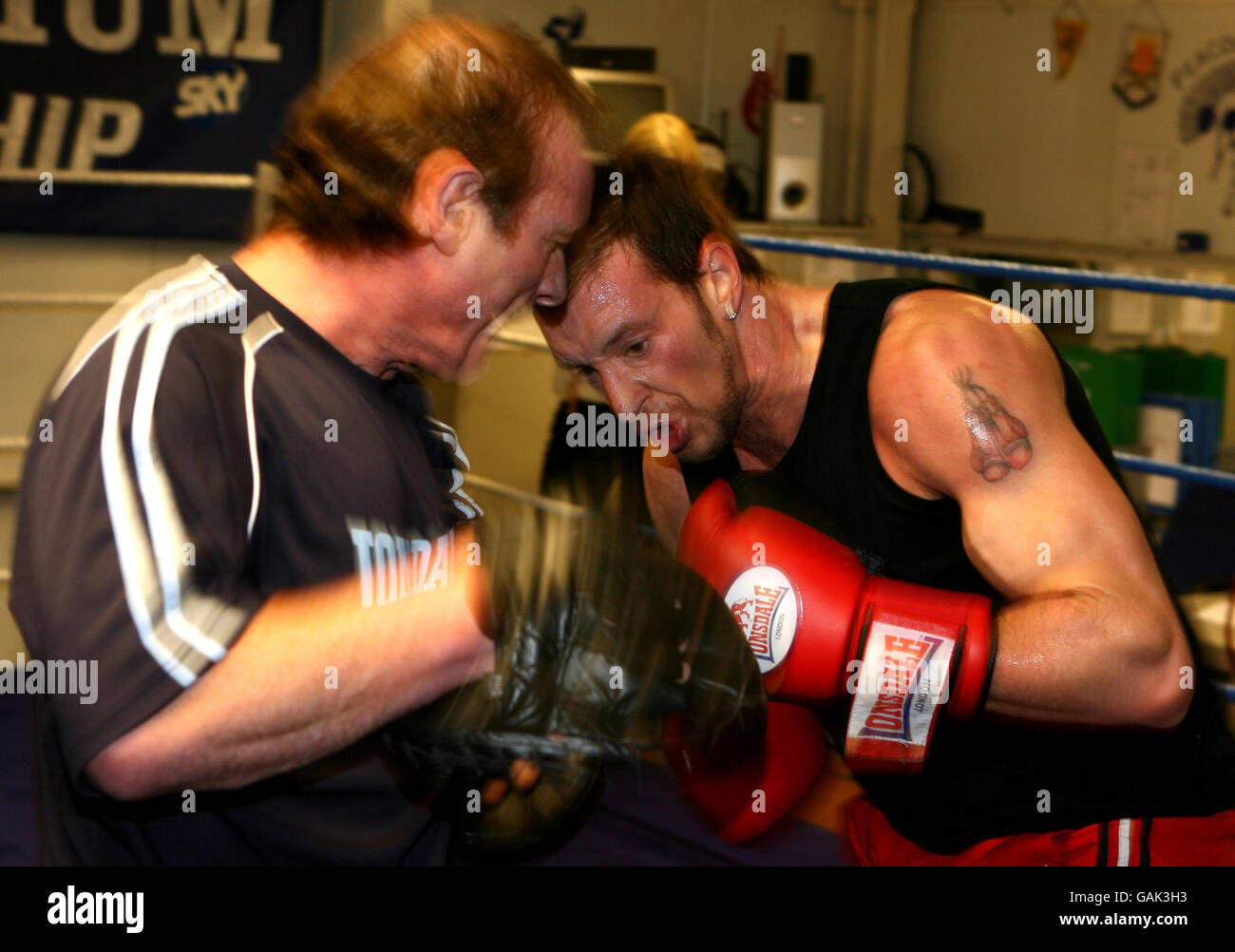 Peacock Boxing Gym High Resolution Stock Photography and Images - Alamy