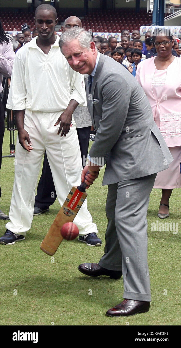 Royal charles full length batting ball bat cricket prince charles hi ...