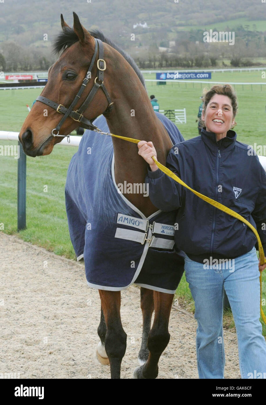 Is walked by ginni wright at cheltenham racecourse hi-res stock ...