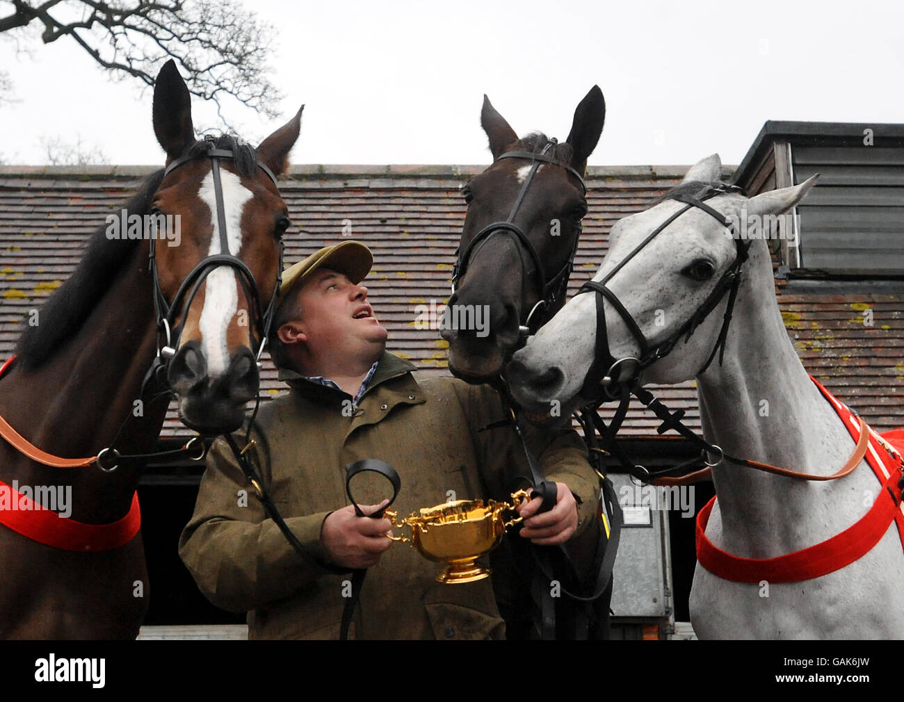 Cheltenham winners parade hi-res stock photography and images - Alamy