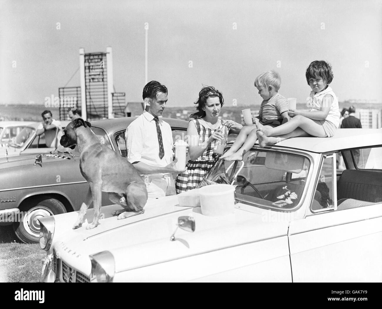 Dog sitting on horse Black and White Stock Photos & Images - Alamy