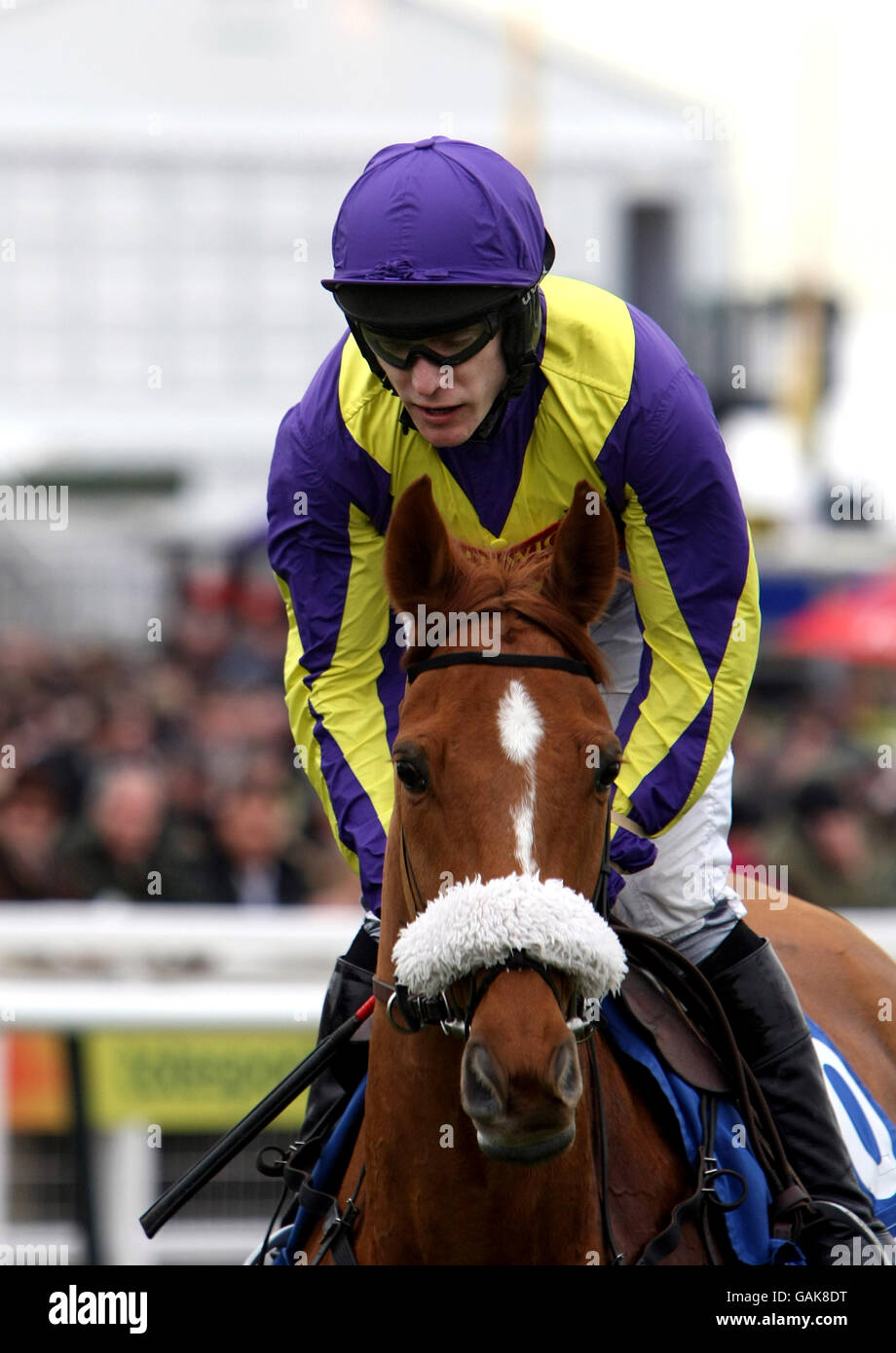 Tom scudamore coral hi-res stock photography and images - Alamy