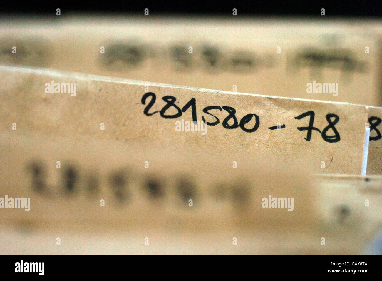 General view of the labeling system from the PAPhotos Archive Stock ...