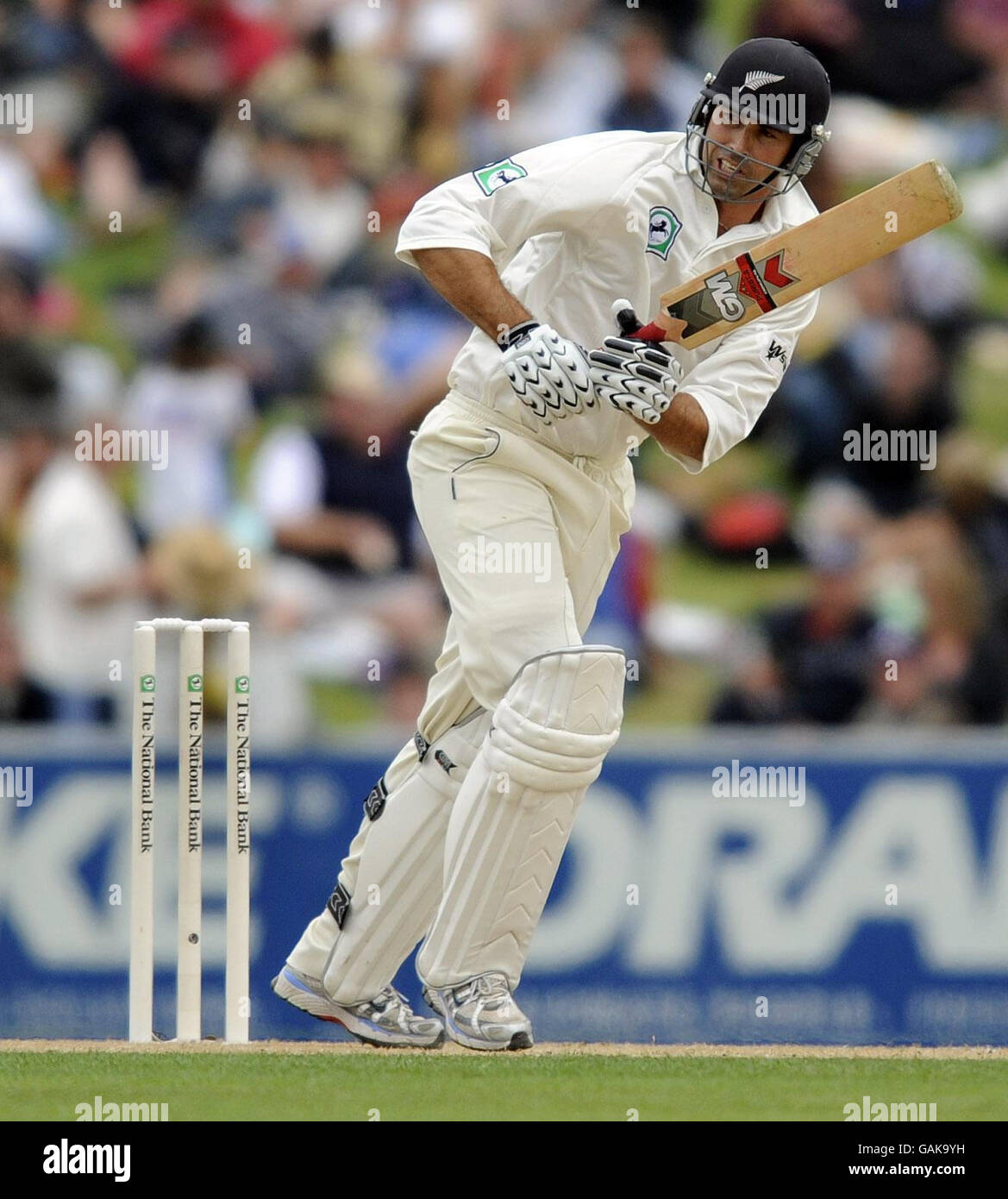 Cricket england full length wickets stumps bat boundary ball mangpb hi ...