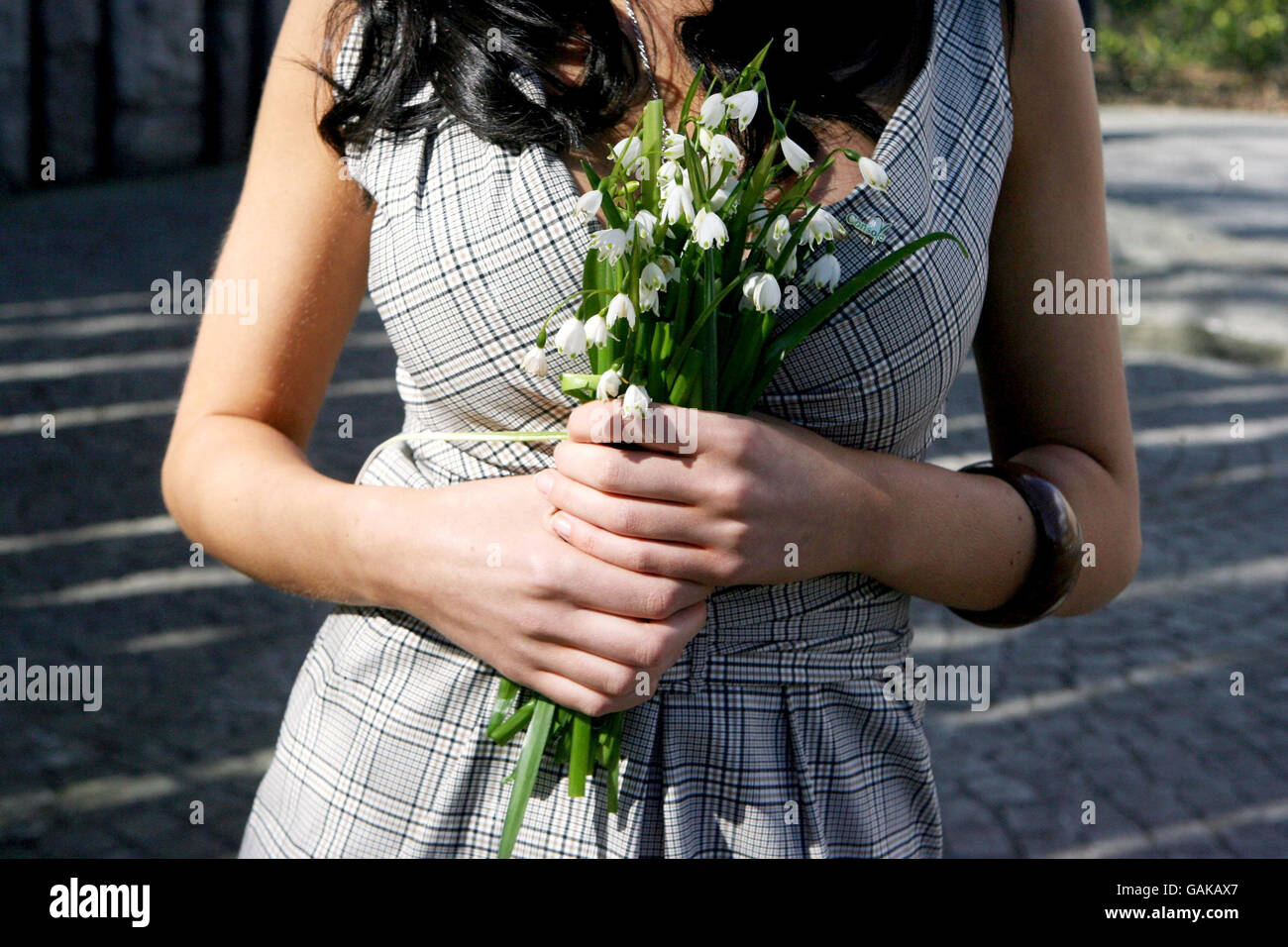 Snowdrop campaign hi-res stock photography and images - Alamy