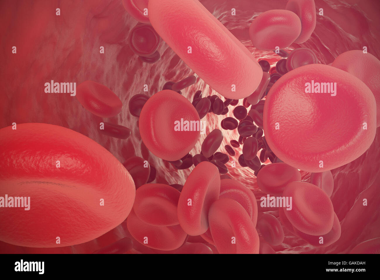 Red blood cells moving in vessels. 3d illustration Stock Photo - Alamy