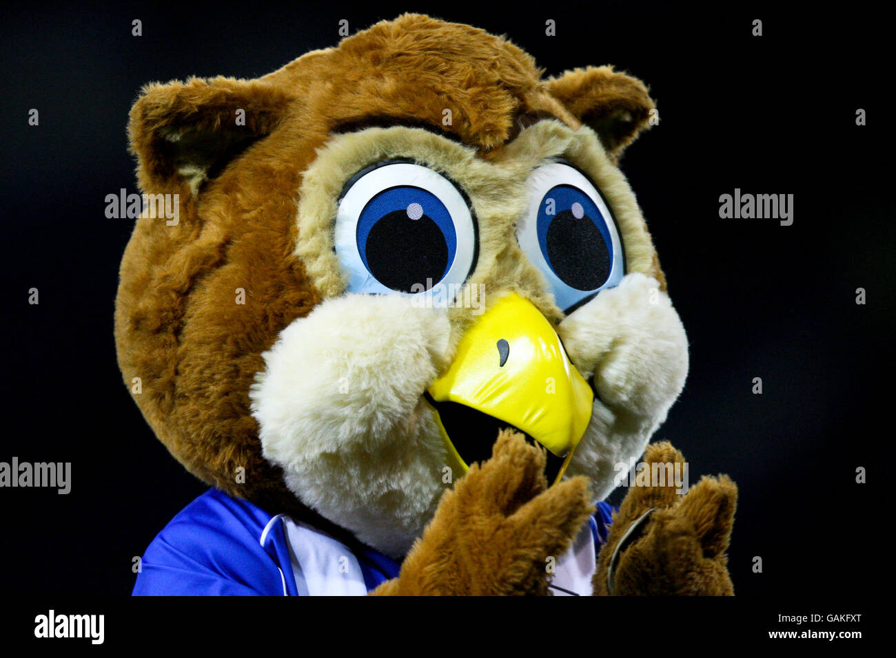 Sheffield wednesday mascot High Resolution Stock Photography and Images ...