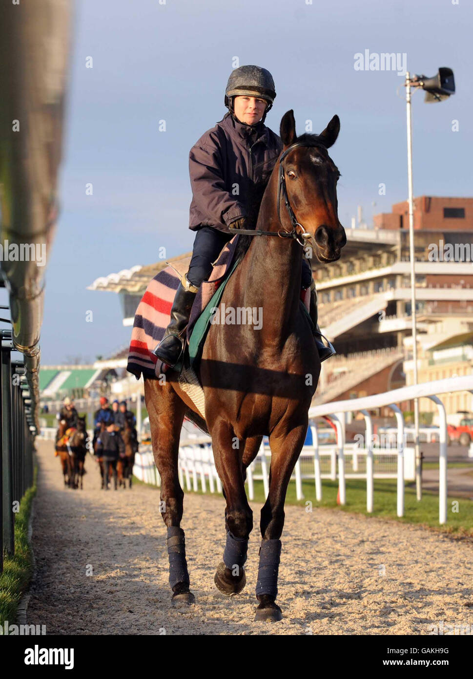 Horse Racing - Cheltenham Festival - Day One - Cheltenham Racecourse ...