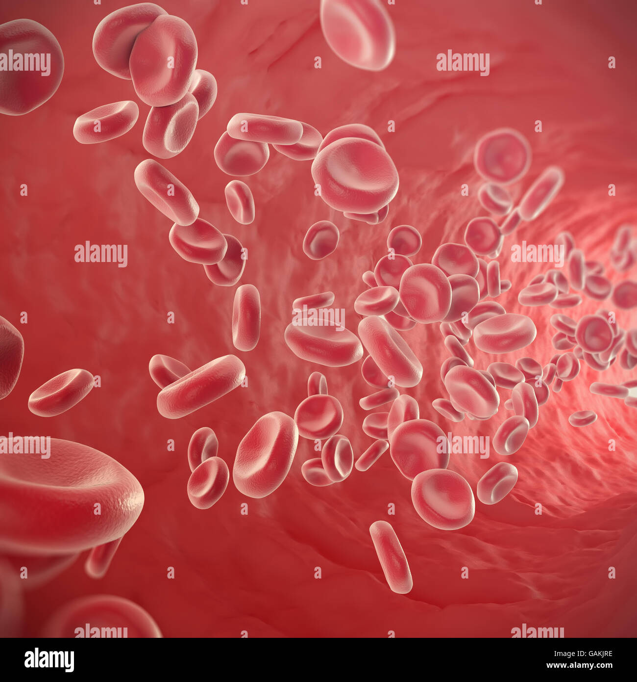 Human circulatory system hi-res stock photography and images - Alamy