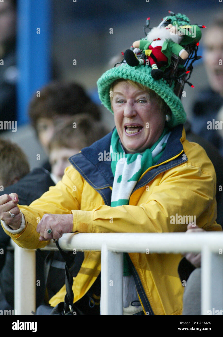 A london irish fan screams her team hi-res stock photography and images ...