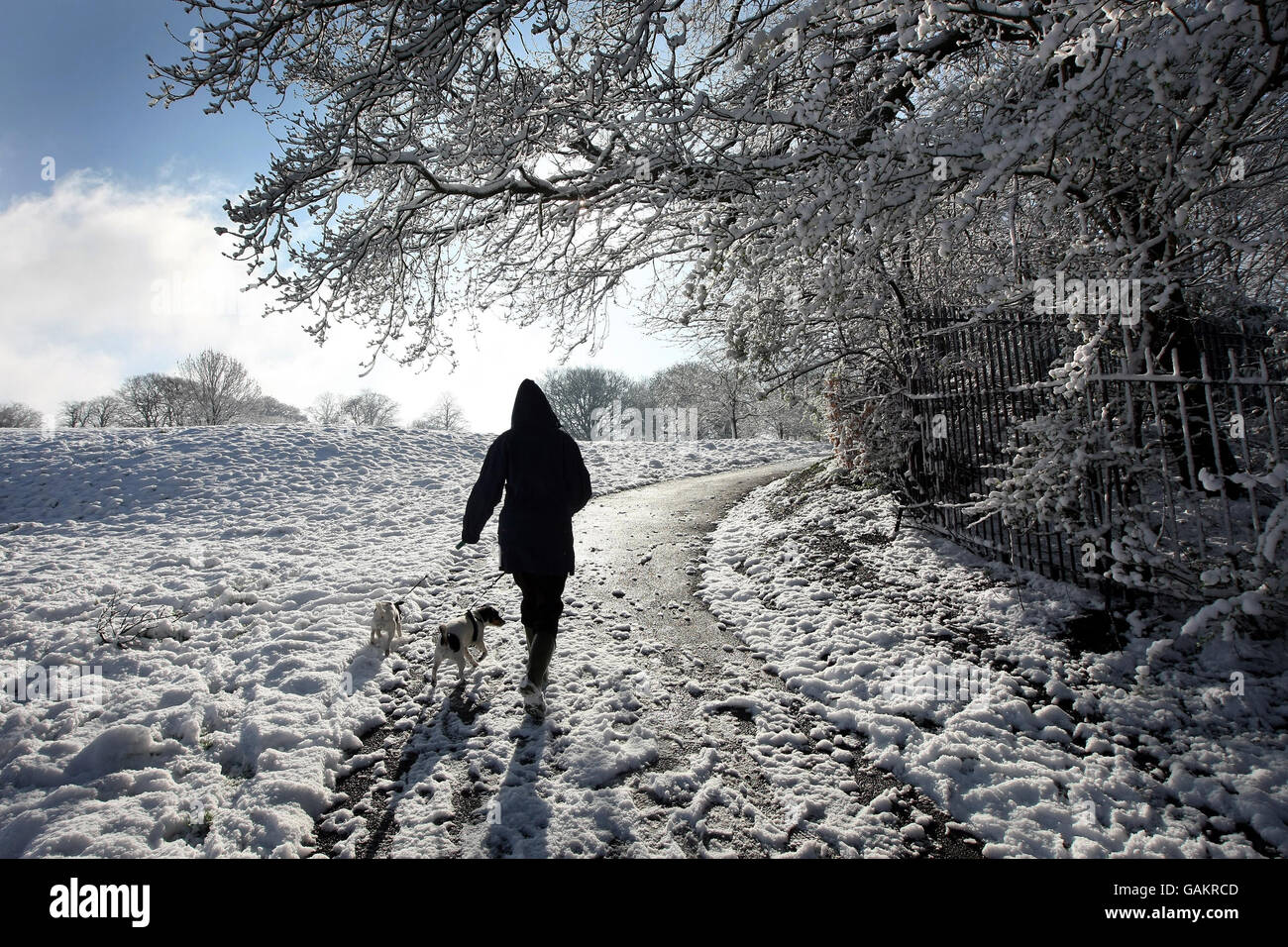 Snow hits the UK Stock Photo - Alamy
