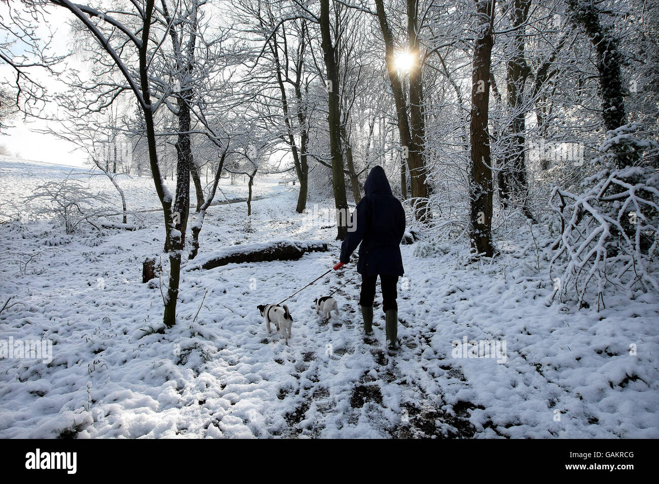 Snow hits the UK Stock Photo - Alamy