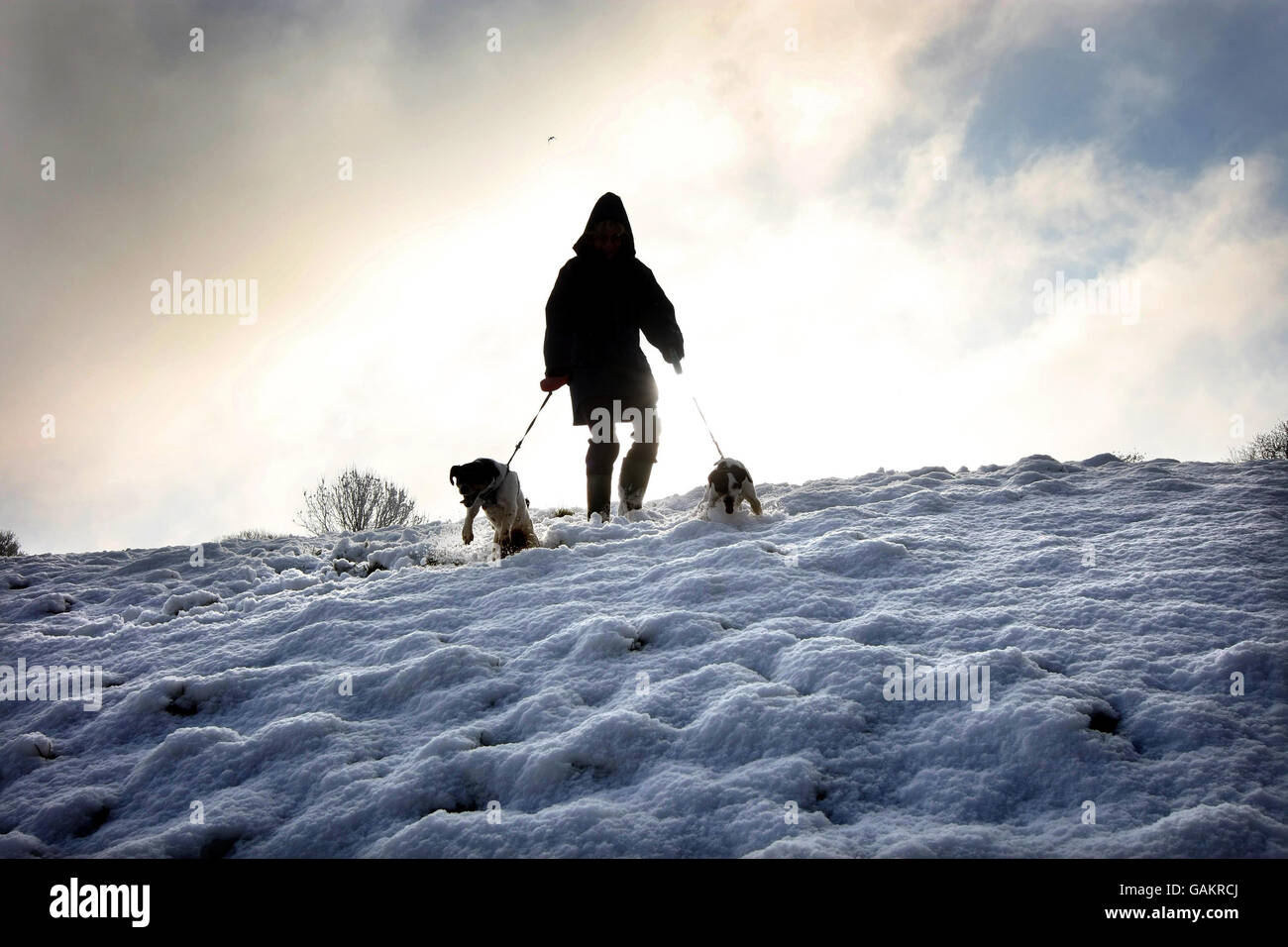 Snow hits the UK Stock Photo - Alamy