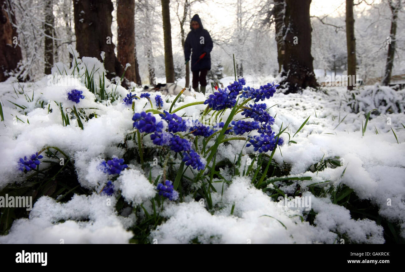 Snow hits the UK Stock Photo - Alamy