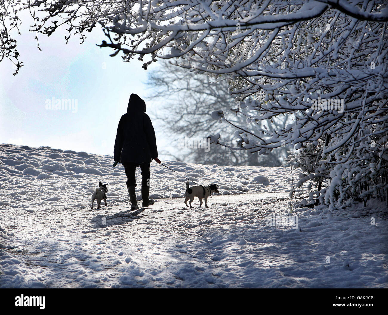 Snow hits the UK Stock Photo - Alamy