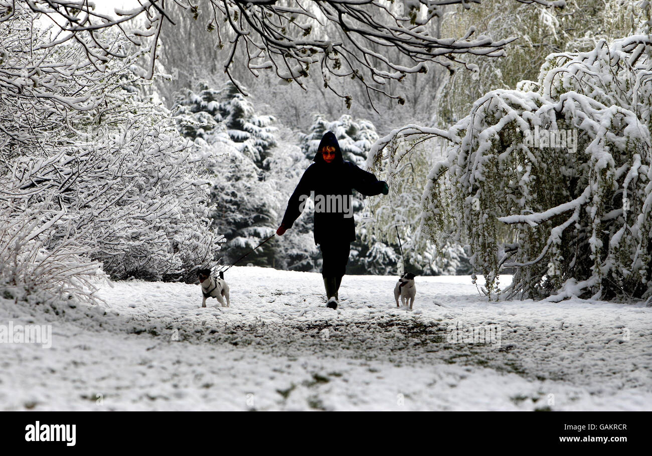 Snow hits the UK Stock Photo - Alamy