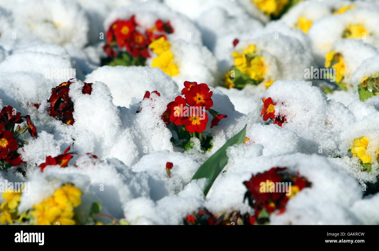 Snow hits the UK Stock Photo - Alamy