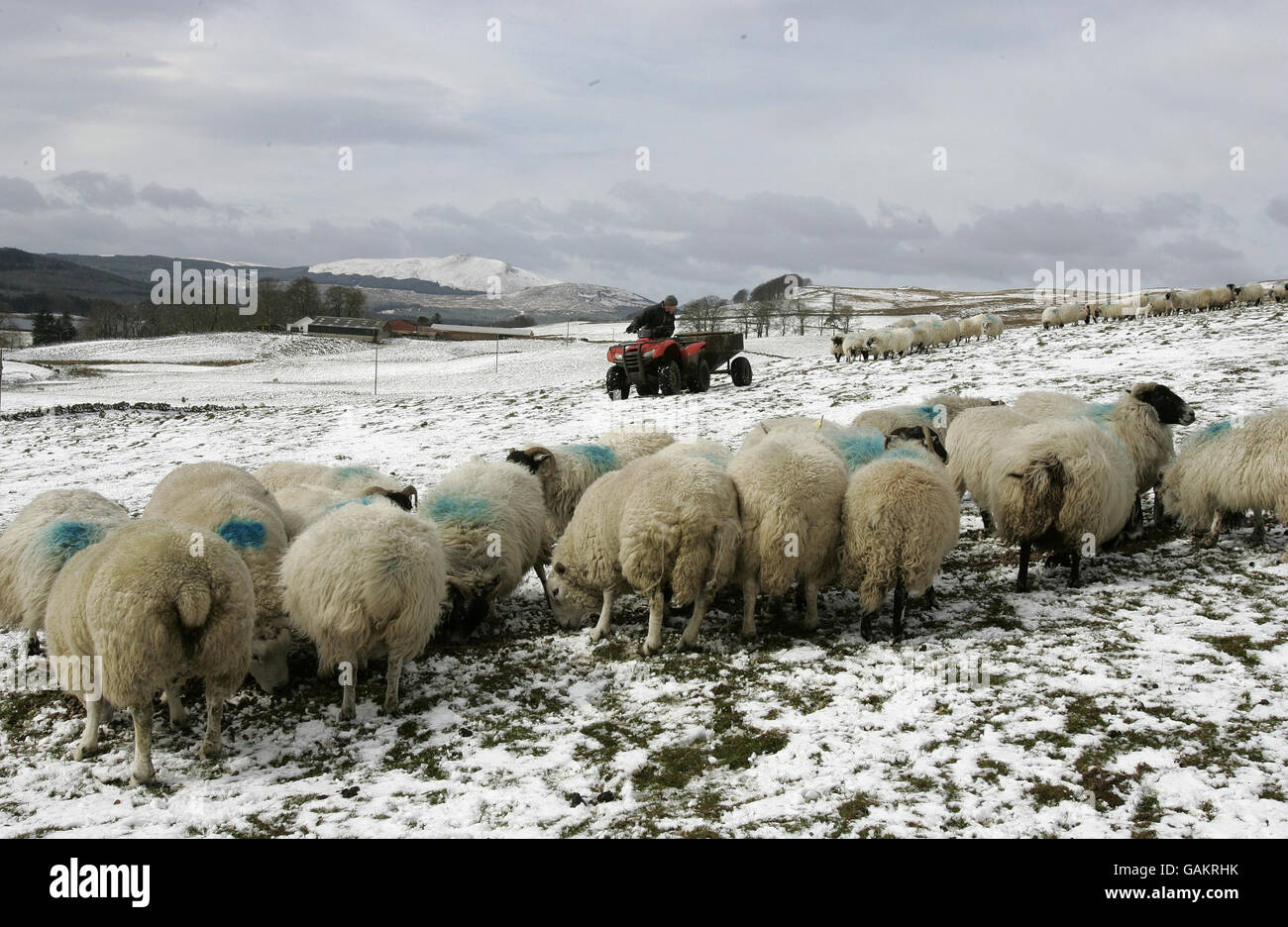 Snow hits the UK Stock Photo - Alamy