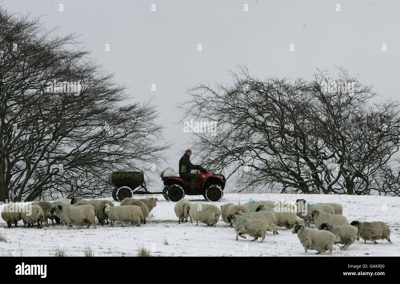 Snow hits the UK Stock Photo - Alamy