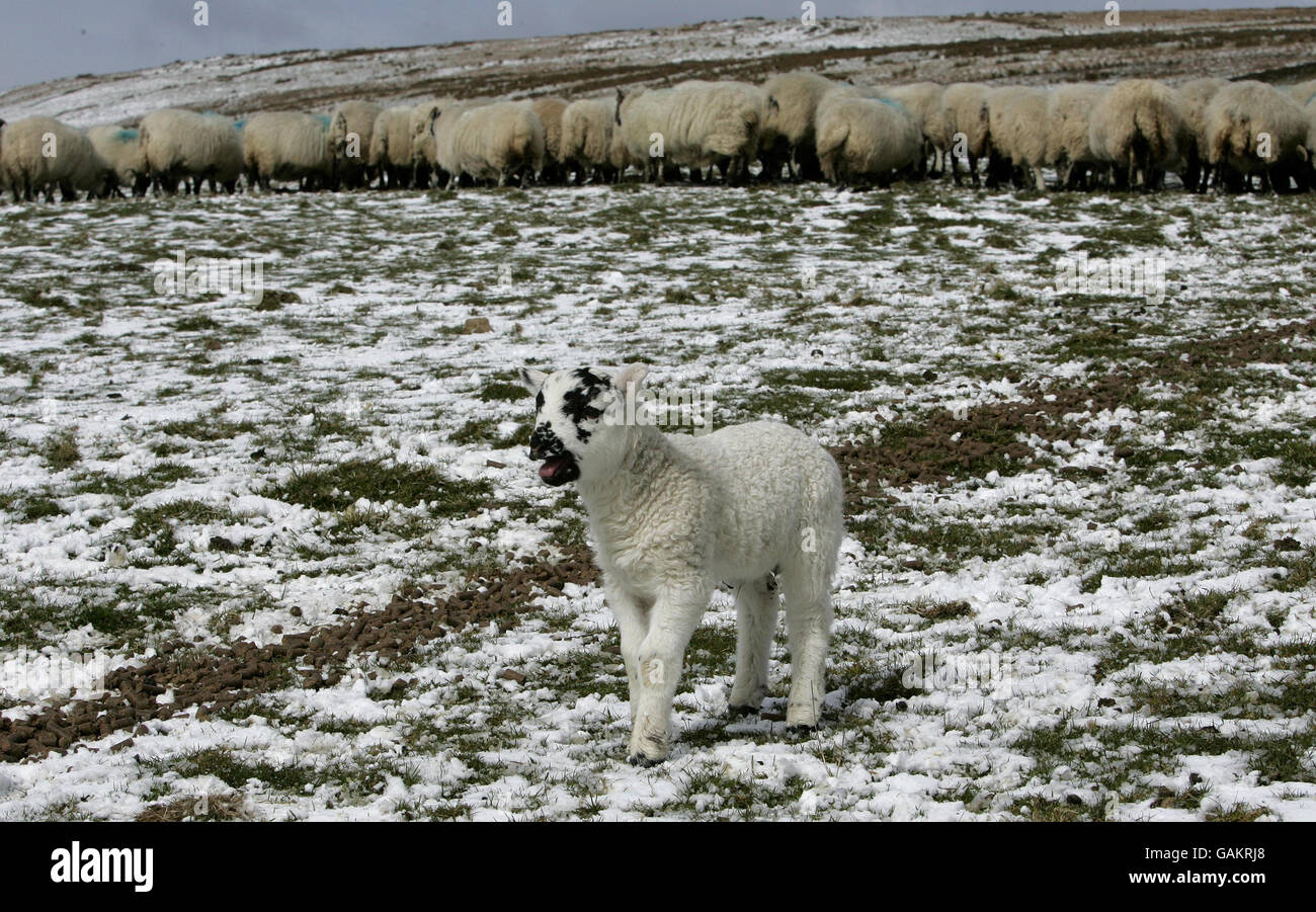 Snow hits the UK Stock Photo - Alamy