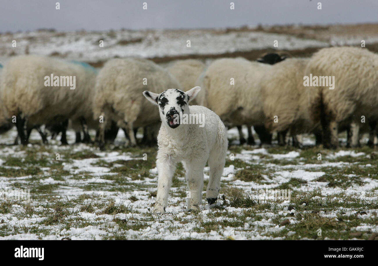 Snow hits the UK Stock Photo - Alamy