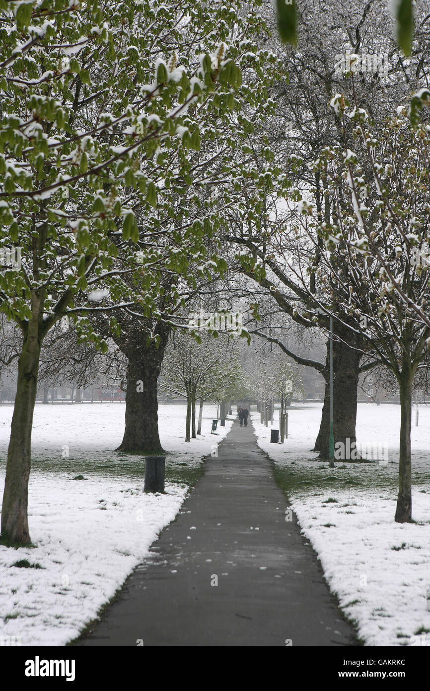 Parks and Open Spaces - Peckham Rye Park - London. Snow falls at ...