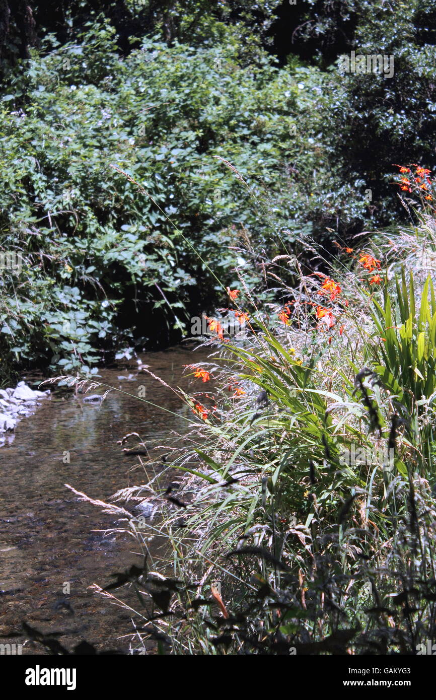 Outdoor Background - Stream Stock Photo - Alamy