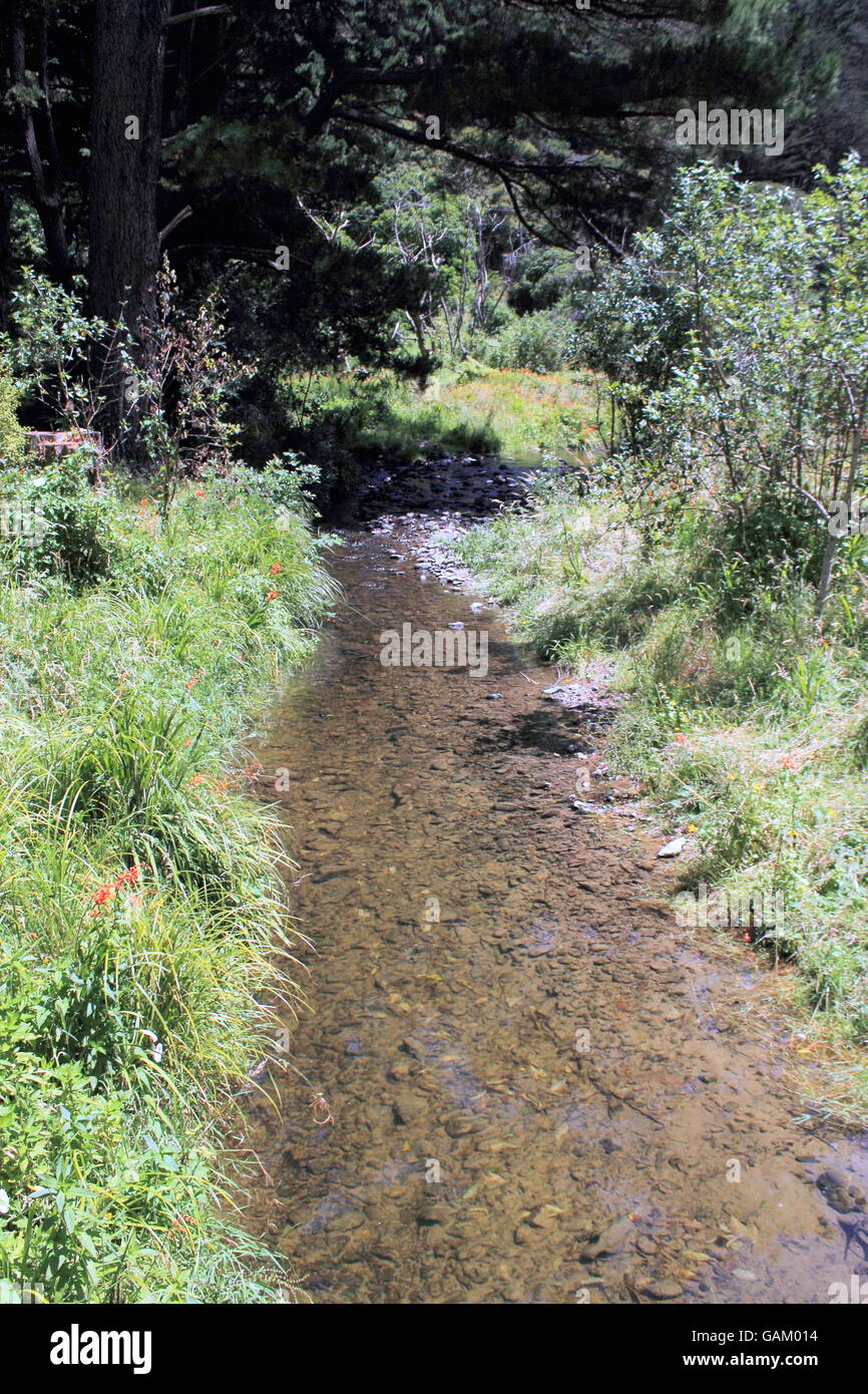 Gentle run hi-res stock photography and images - Alamy