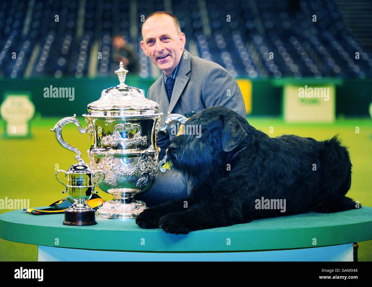 Crufts dog competition animal hi-res stock photography and images - Alamy