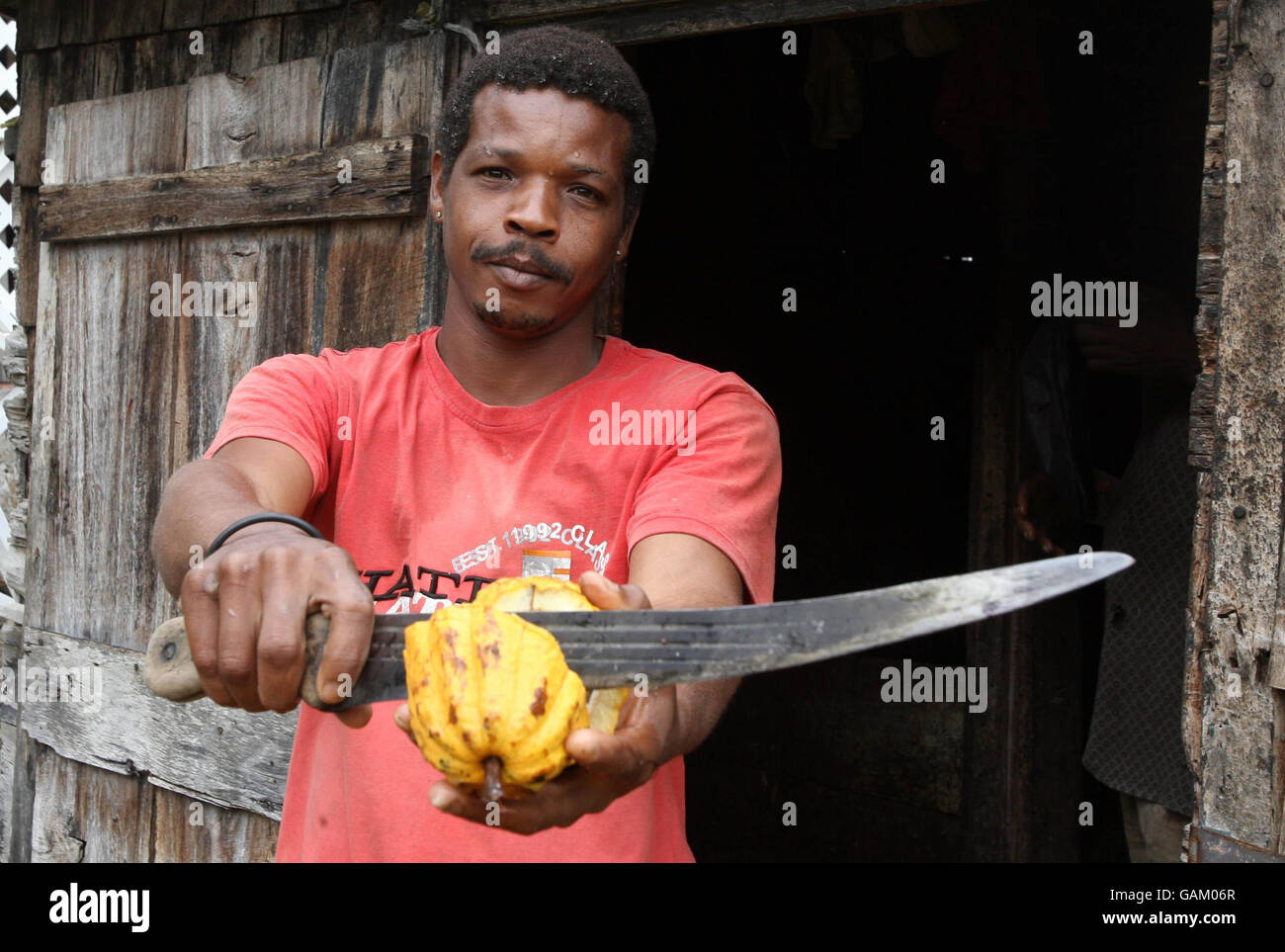 Man working in cocoa chocolate making business at coco resort hi-res ...