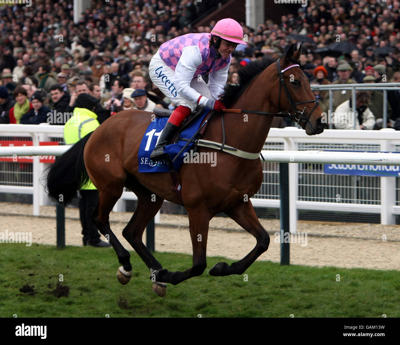 Jockey Robert Thornton on Voy Por Ustedes before the Season Holidays ...