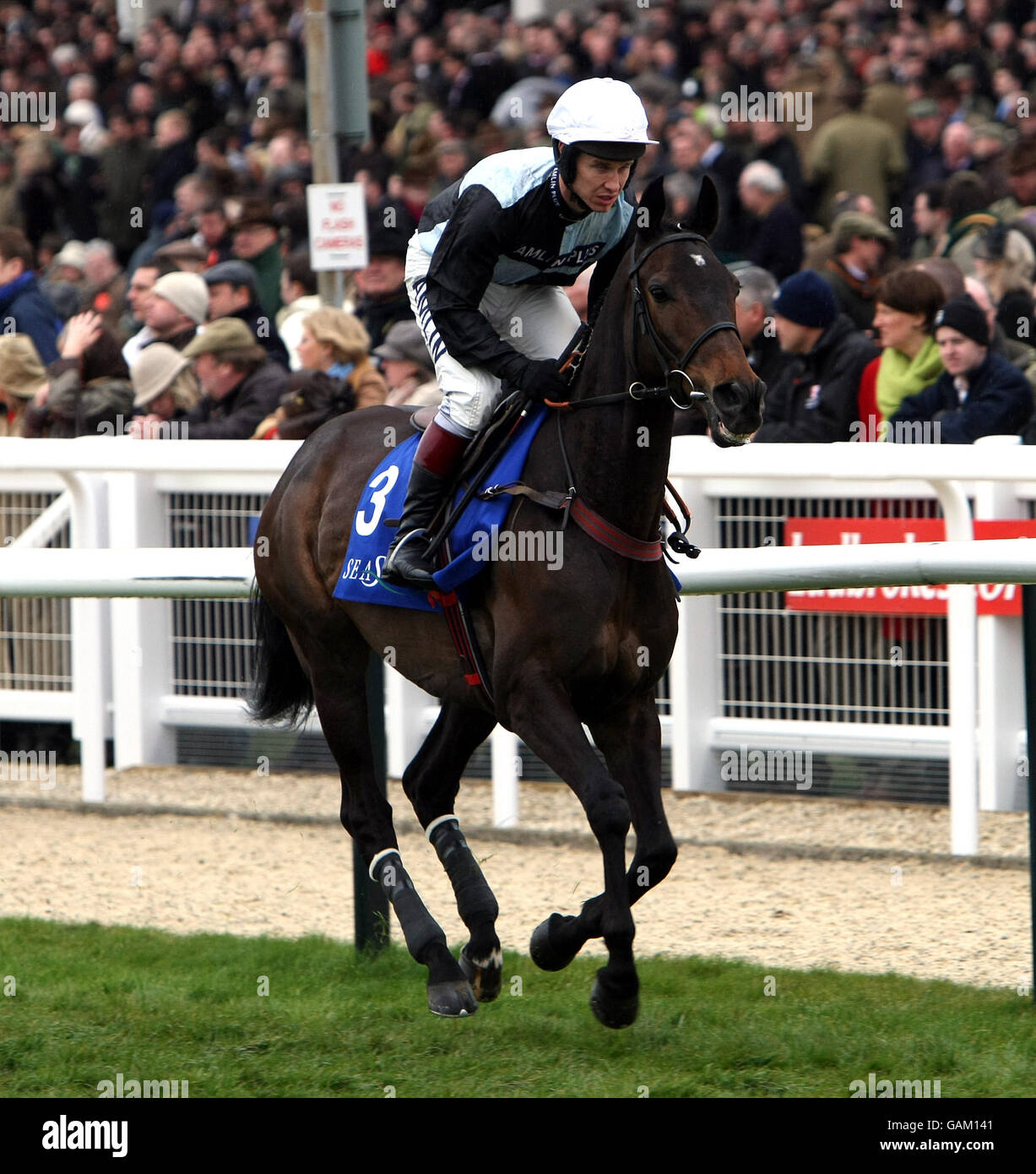 Jockey Richard Johnson on Fair Along before the Season Holidays Queen ...