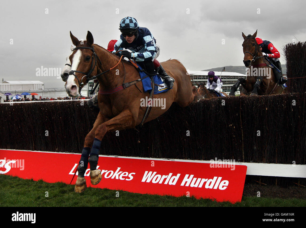 Richard Johnson on Gold Medallist in the Jewson Novices Handicap ...