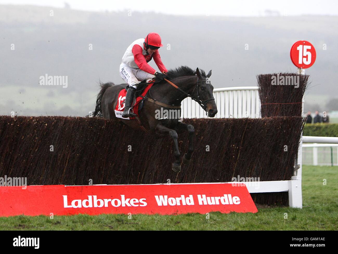 Jockey Ruby Walsh on Gwanako jumps clear in the Racing post Plate ...
