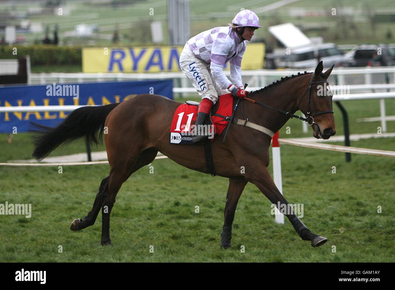 Jockey Robert Thornton on Russian Trigger goes down to the post for the ...