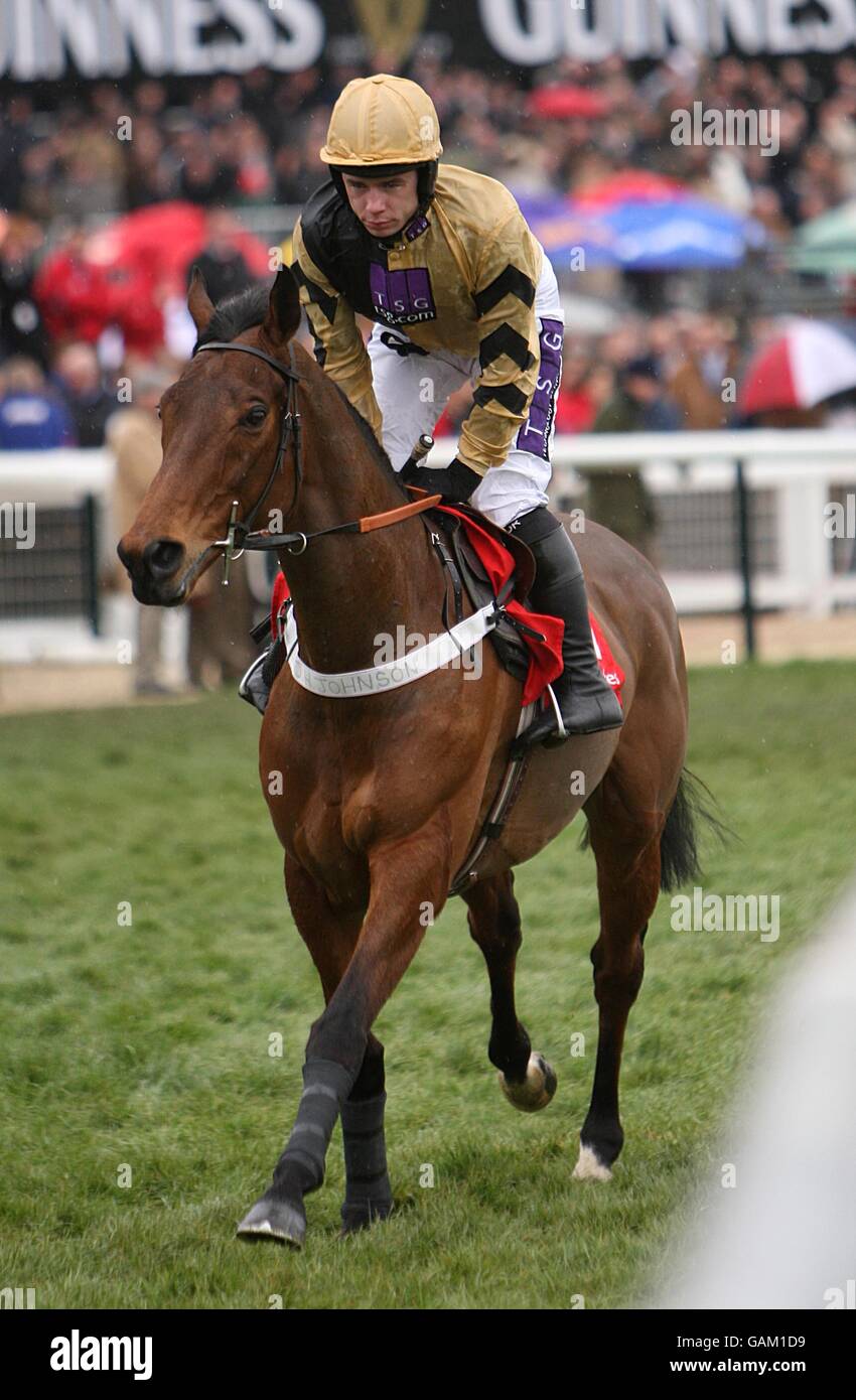 Jockey of inglis drever hi-res stock photography and images - Alamy