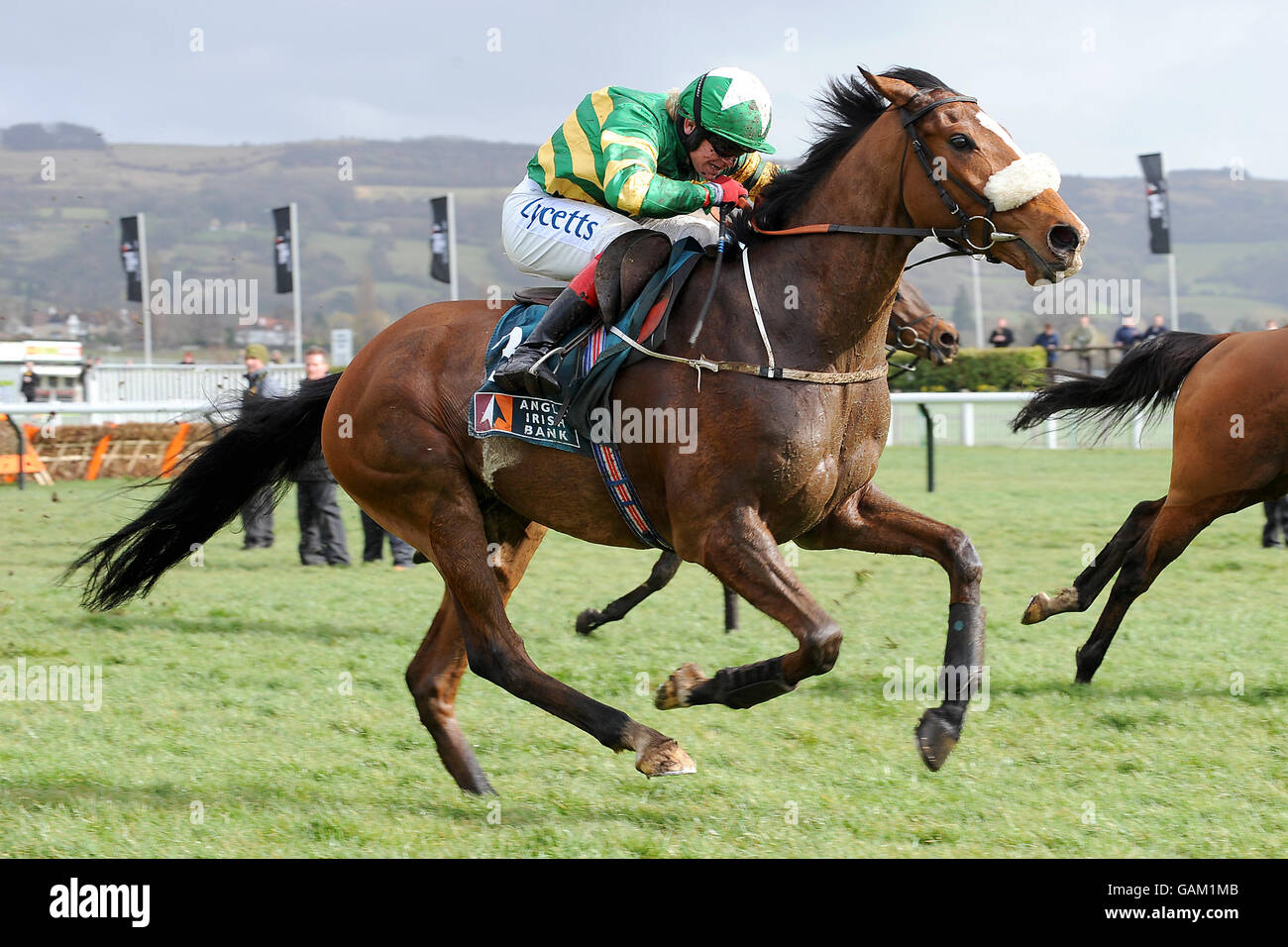 Jockey Robert Thornton on Captain Cee Bee during the Anglo Irish Bank ...