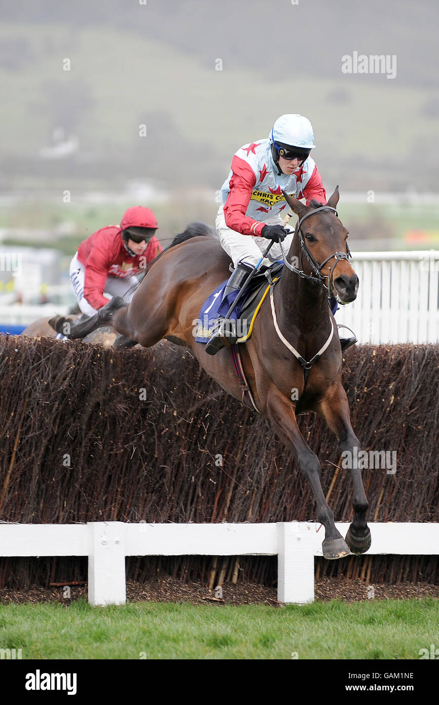 Jockey Paul Carberry on Patsy Hall during the William Hill Trophy ...
