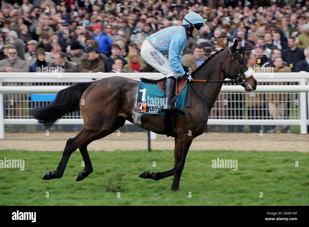 Jockey Tom Scudamore on Blue Bajan during the Anglo Irish Bank Supreme ...