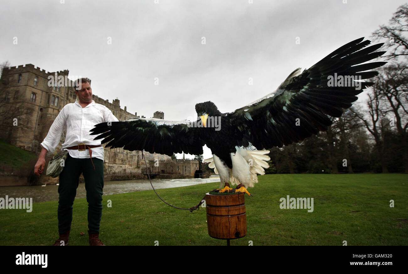 Stellers Sea Eagle Wingspan