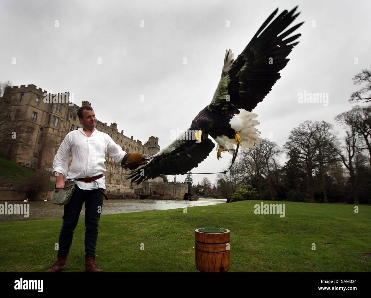 Stellar Sea Eagle at Warwick Castle. Chris O'Donnell flies his Stellar ...