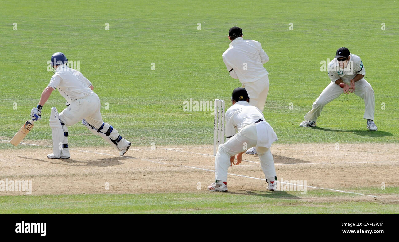 Full length action catching ball england mangrk hi-res stock ...