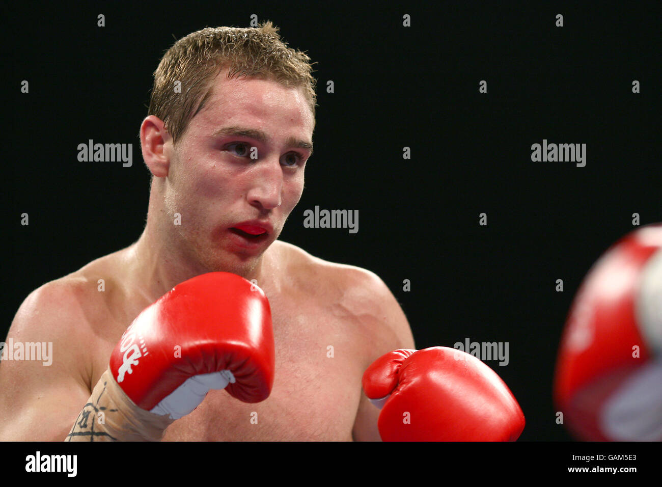 Sydney super fight hi-res stock photography and images - Alamy