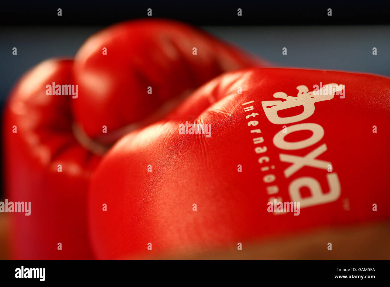 Boxing - WBA Super Middleweight Title - Anthony Mundine v Nader Hamdan ...