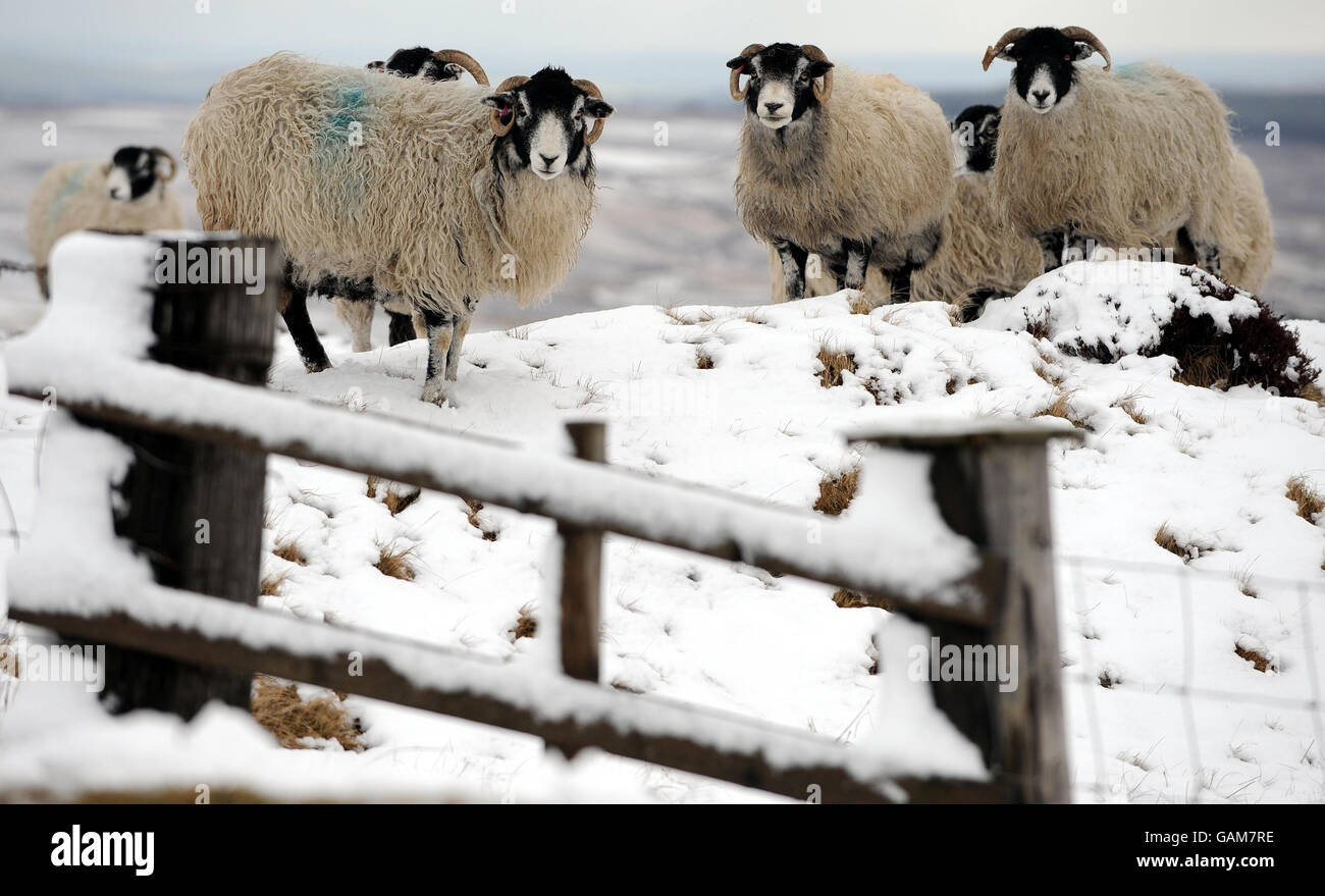 Snow hits the UK Stock Photo - Alamy