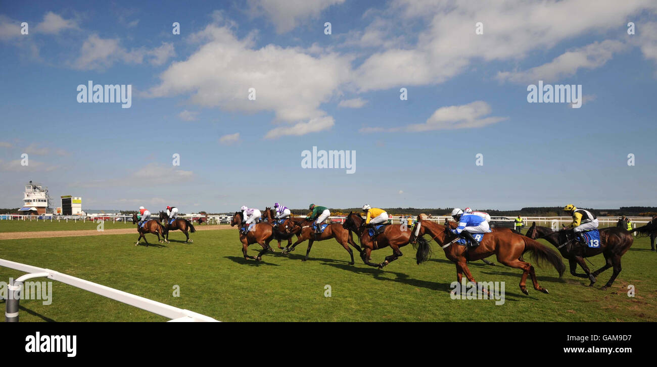 Amazing Valour (extreme left) leads the field past the stands on the ...