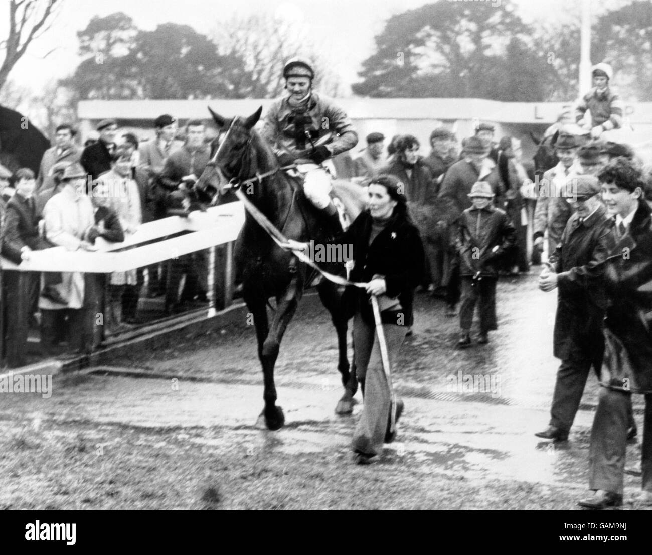 Horse Racing - Irish Sweeps Hurdle - Leopardstown Stock Photo - Alamy